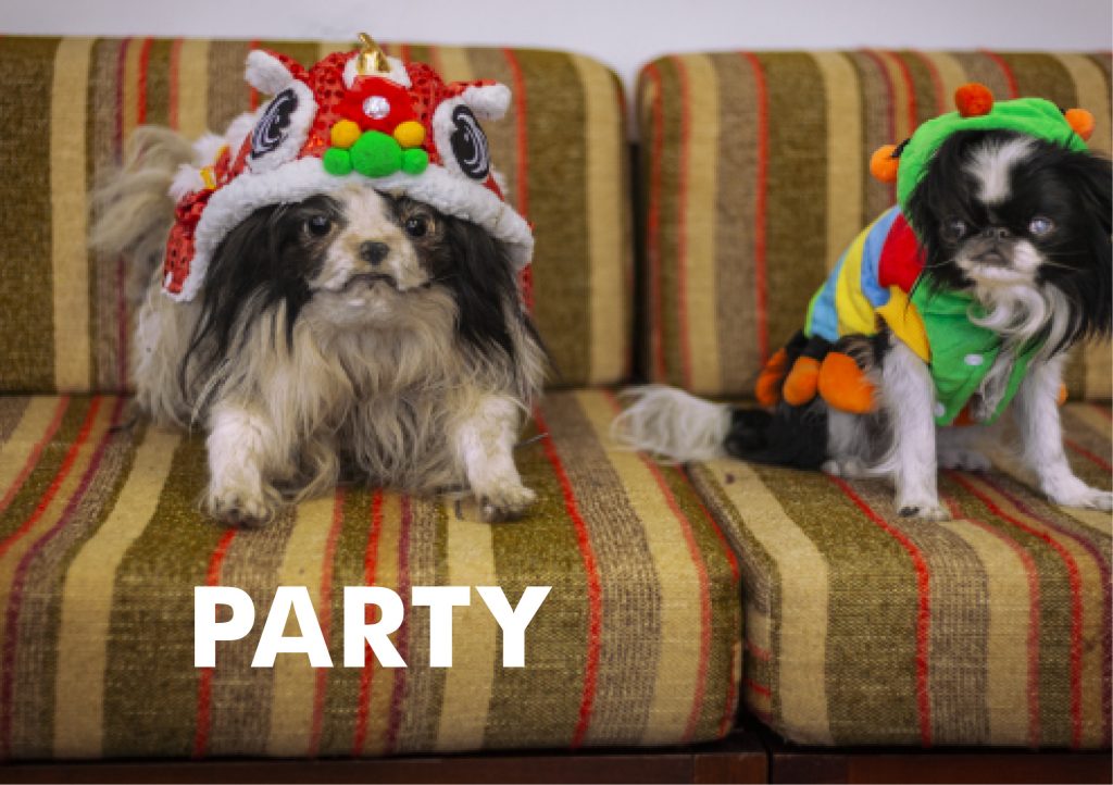 curt : Stadtmacherei Nürnberg